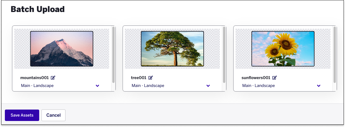 Uploading and Creating Signage Assets – Rockbot Support